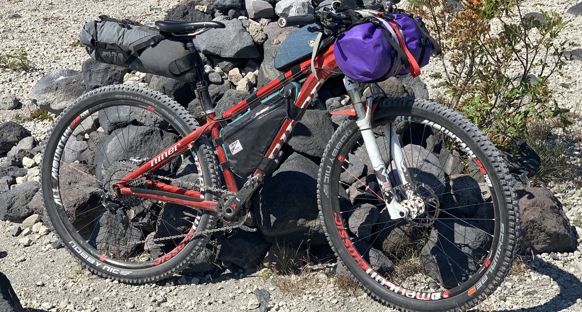 2013 Niner EMD