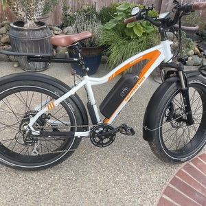 2017 Rad Power Bikes Rad Rover