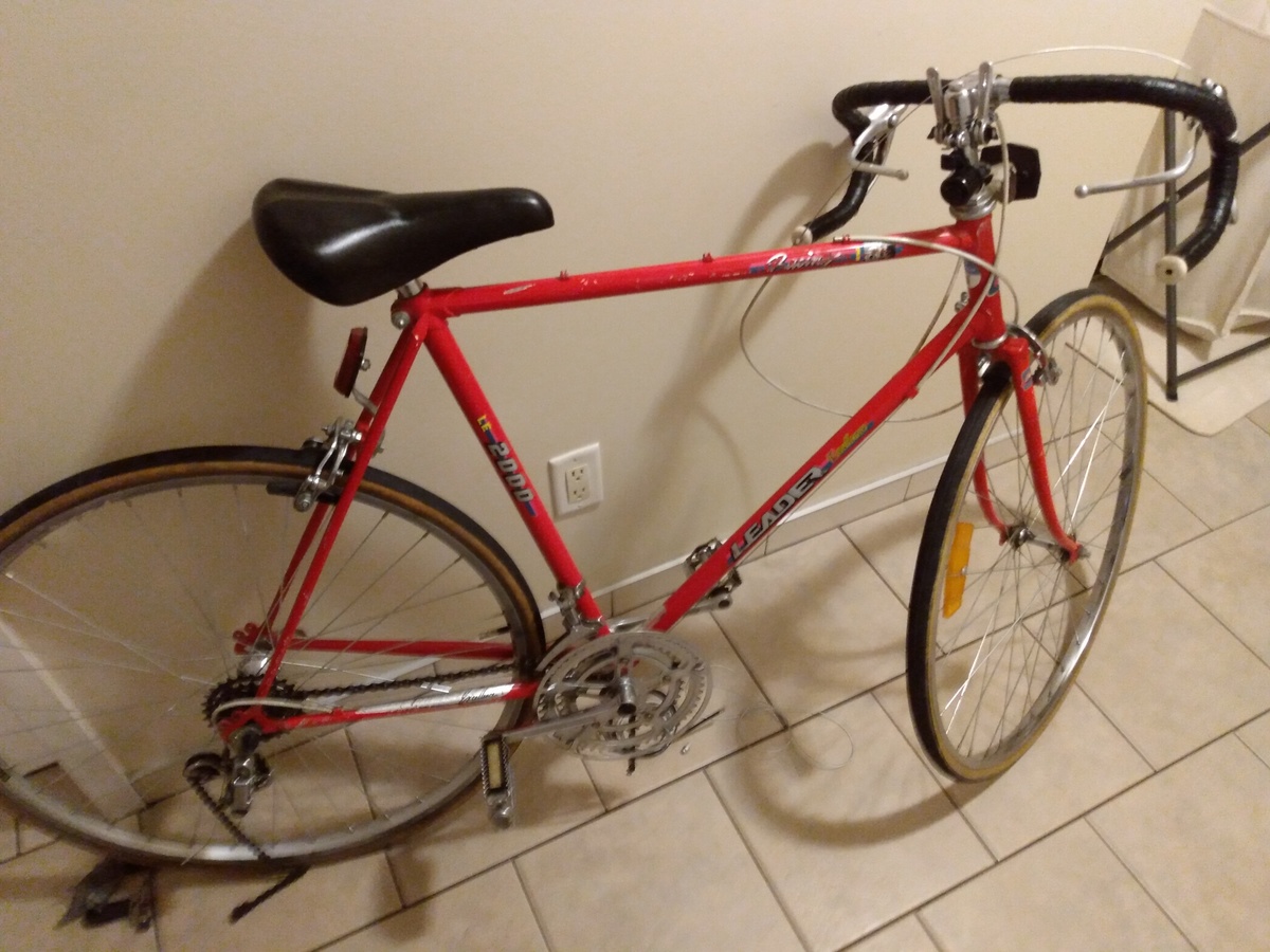 1981 Leader Bikes LE 2000