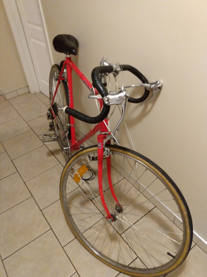 1981 Leader Bikes LE 2000