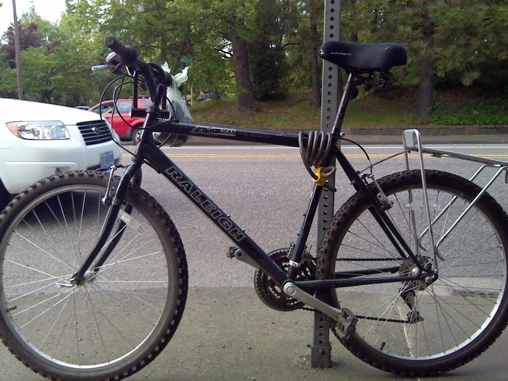 1999 Raleigh Mountain Trail M20