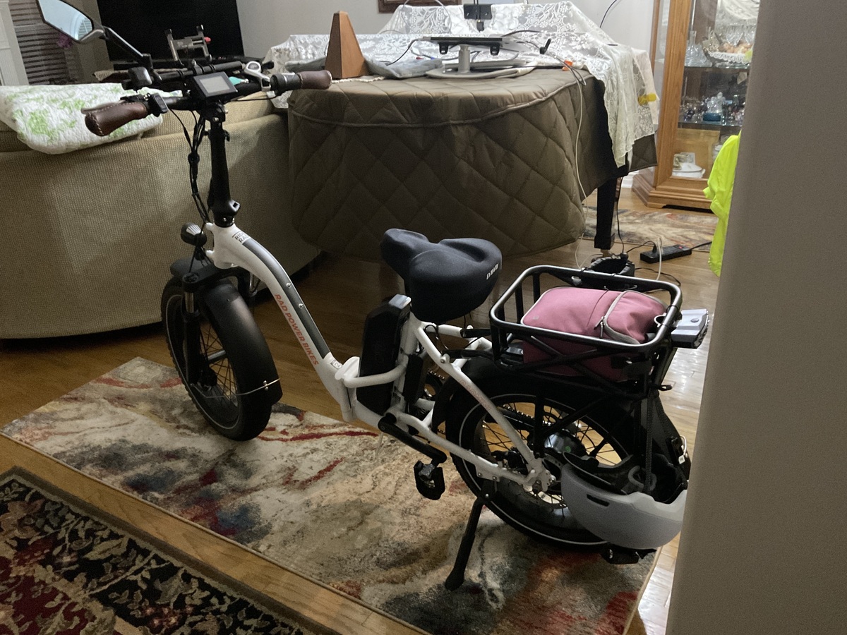 2020 Rad Power Bikes RadMini Step-thru 2