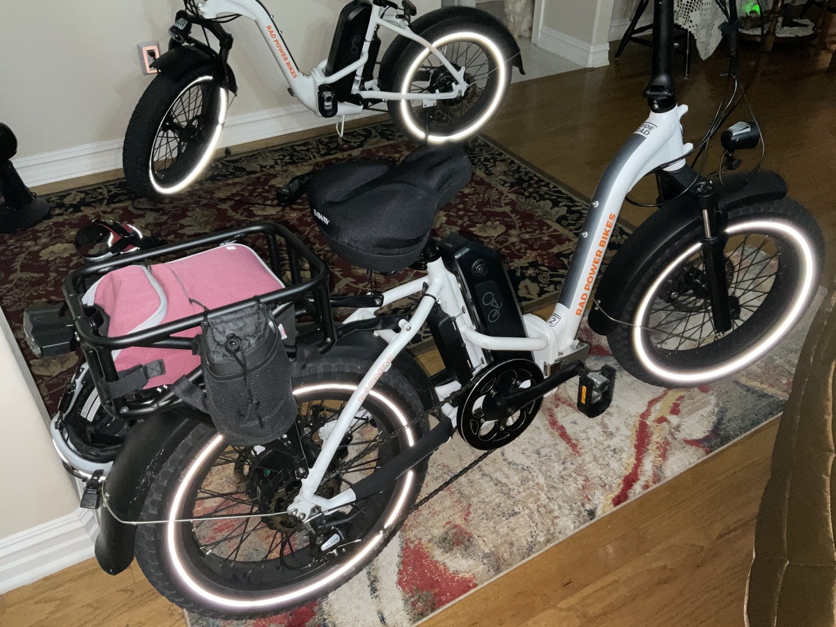 2020 Rad Power Bikes RadMini Step-thru 2