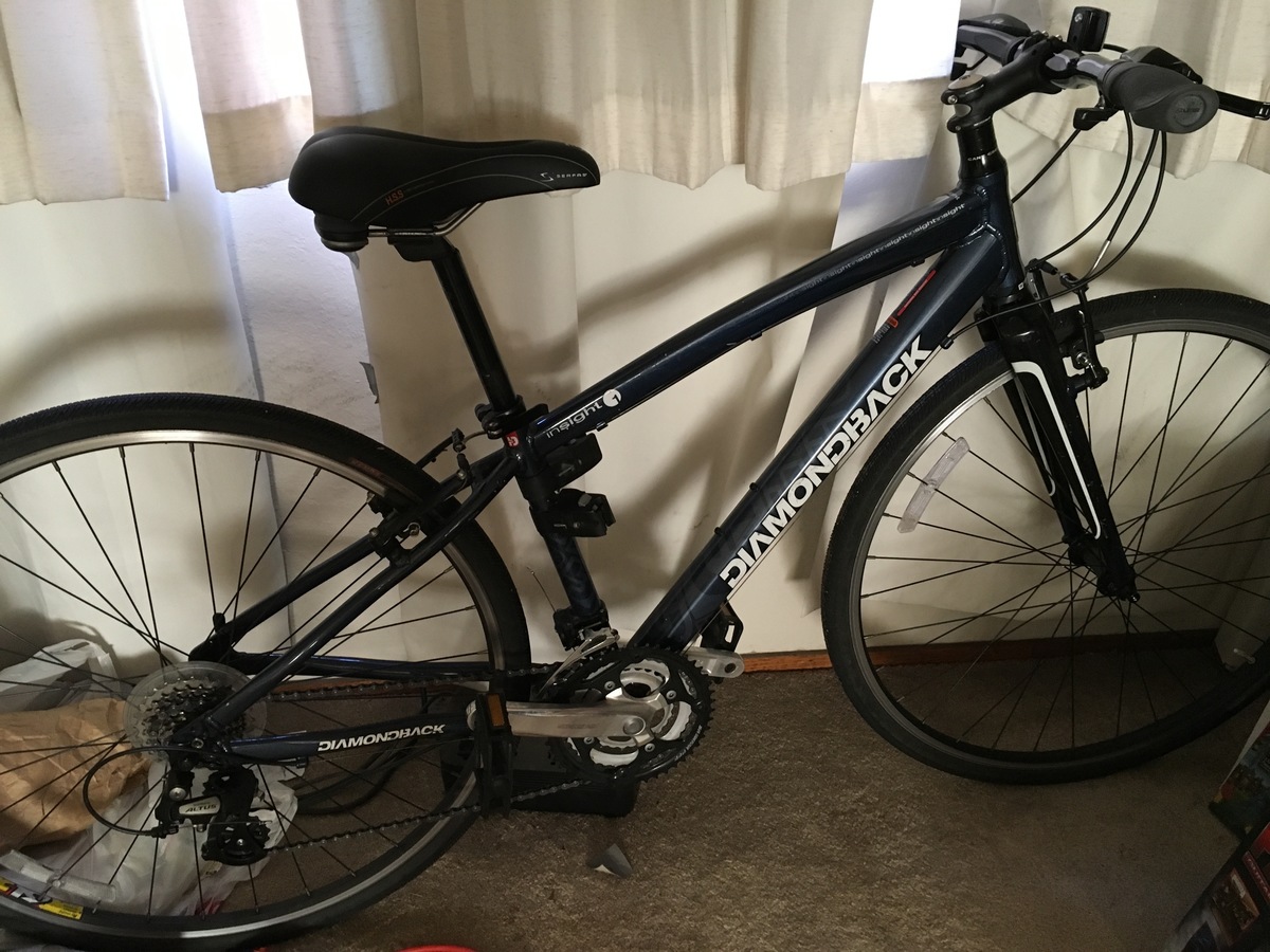 2008 Diamondback Insight 1