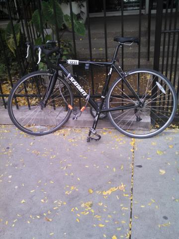 Stolen 2010 Scattante R-330 Road Bike