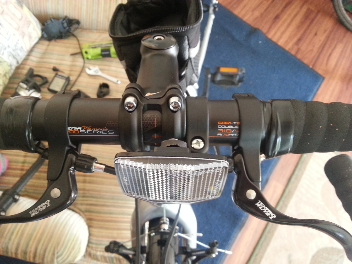 Stolen 2013 Raleigh RX 1.0 (womens)