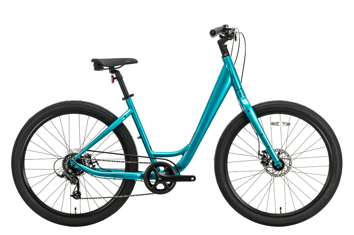 2021 Giant Vida Low Step