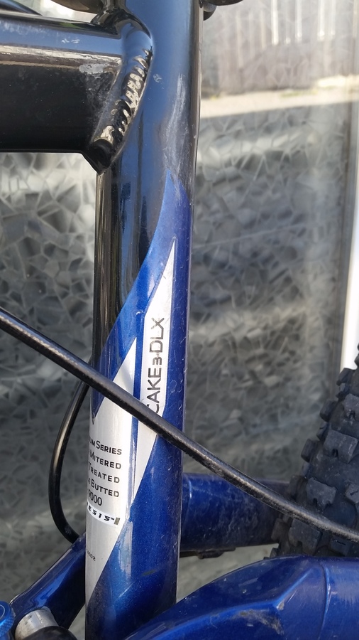 Stolen 2004 Gary Fisher Cake 3_DLX