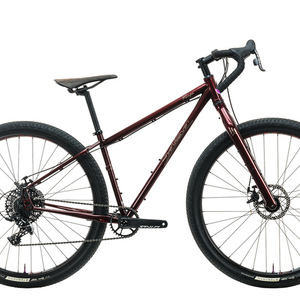 2020 Salsa Fargo Apex 1