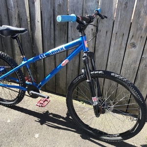 2006 Mongoose Ritual