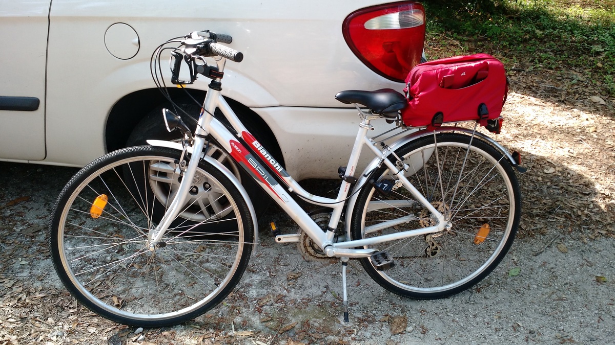 Bianchi Fusion Spillo Donna