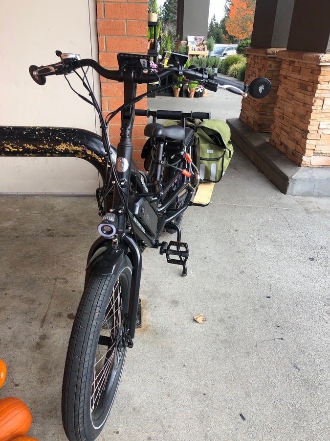 2021 Rad Power Bikes Radwagon 4