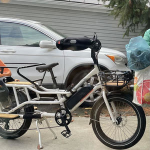 2021 Rad Power Bikes Rad Wagon