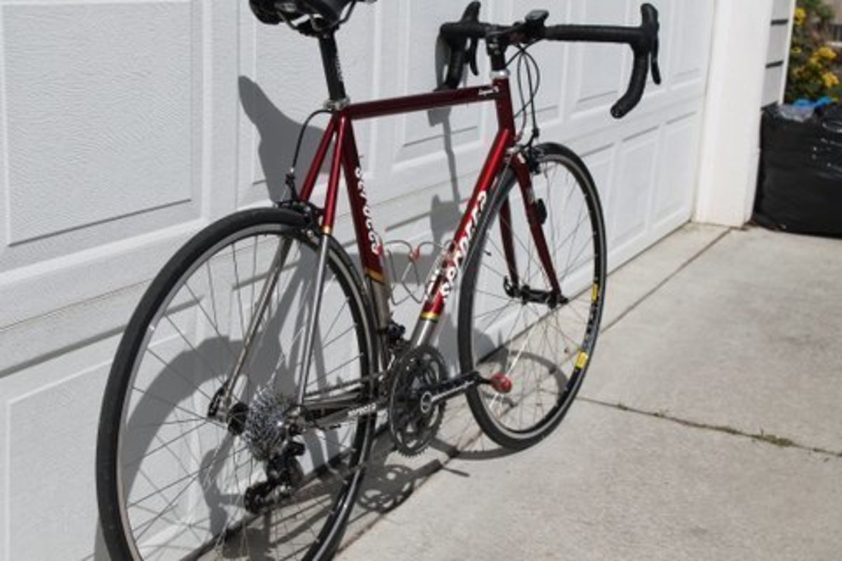 2001 Serotta Legend Ti, Serotta F1 Carbon Fork