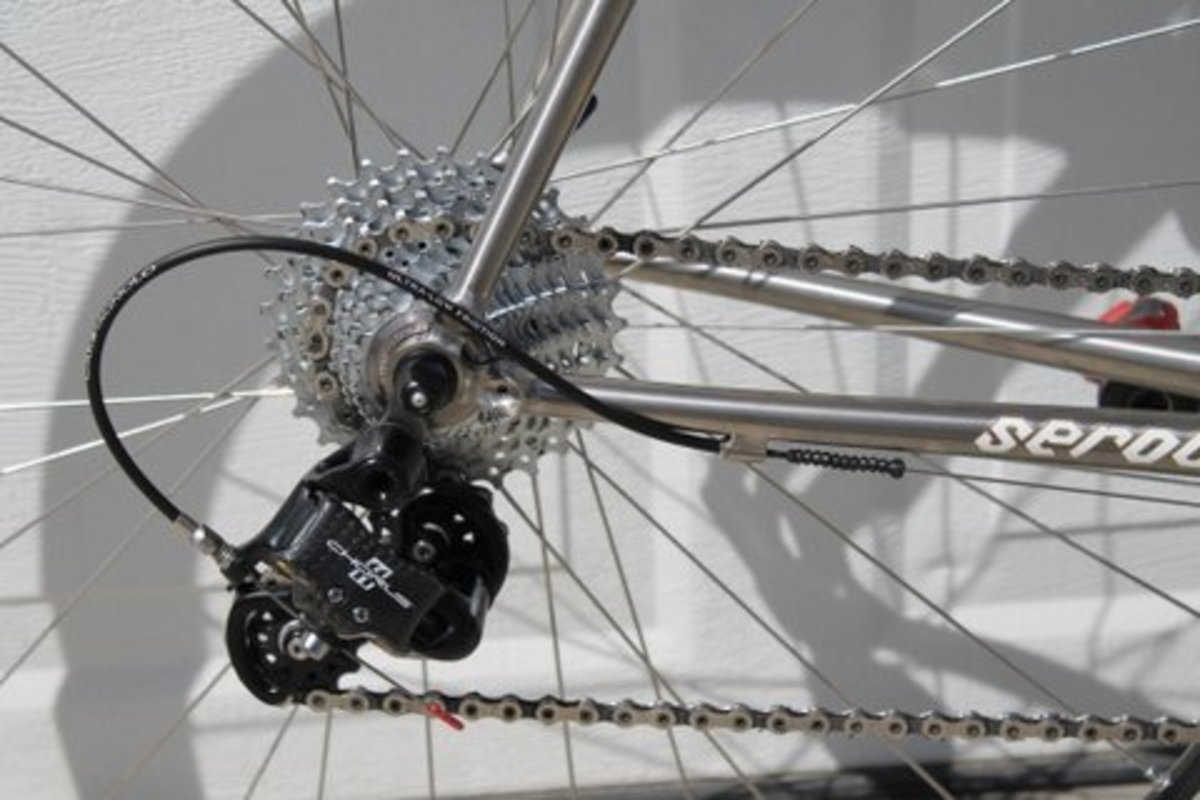 2001 Serotta Legend Ti, Serotta F1 Carbon Fork