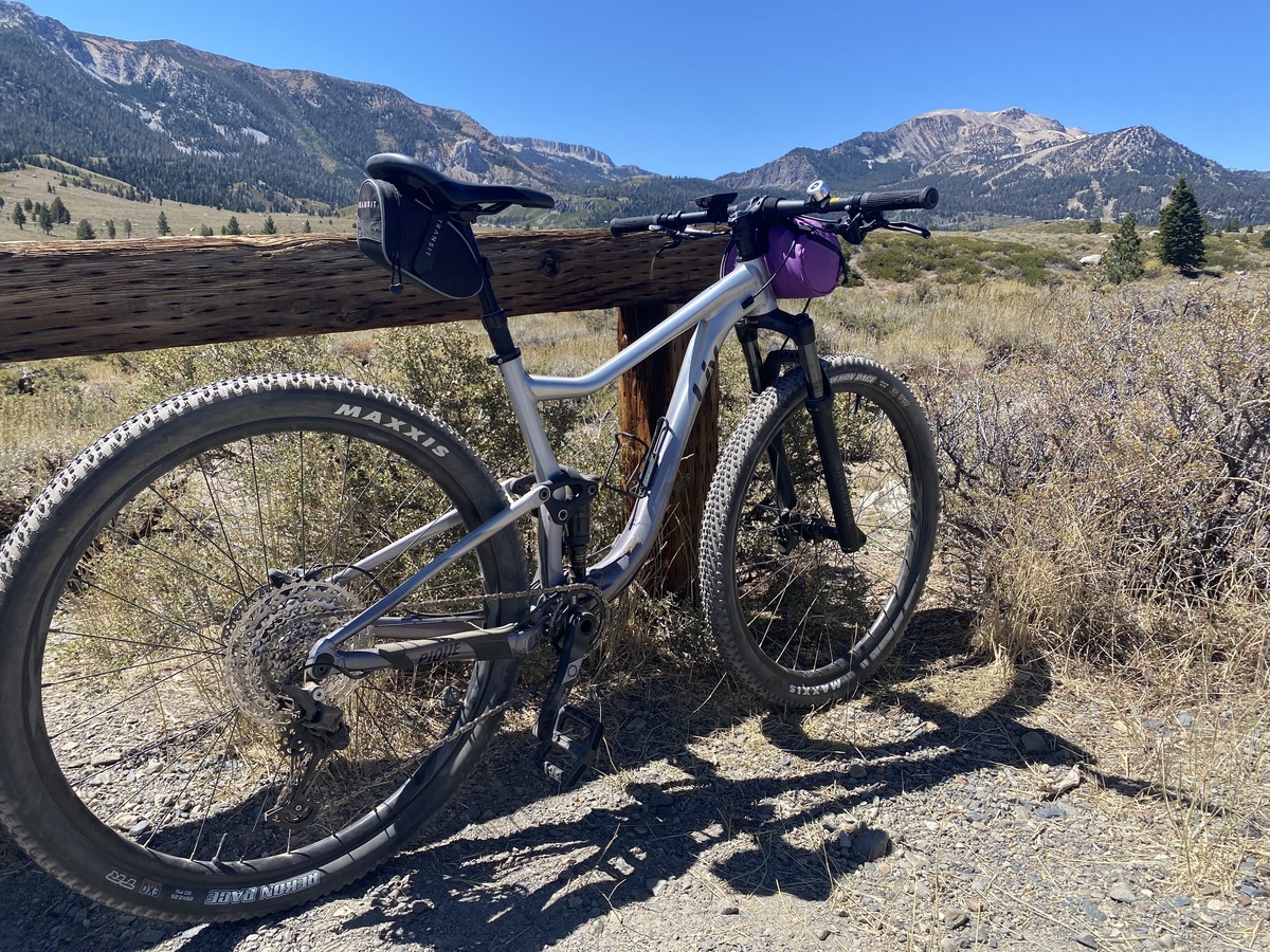 2021 Liv PIQUE 29er M Rainbow