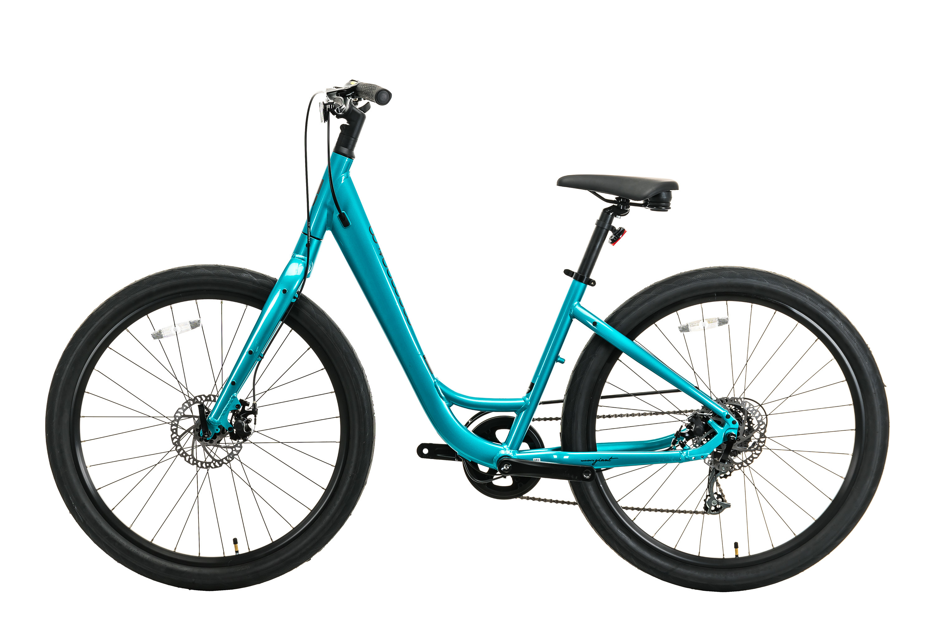 2021 Giant Momentum Vida