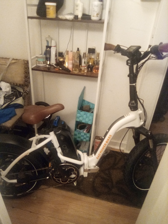 2021 Rad Power Bikes Mini Step-Thru2