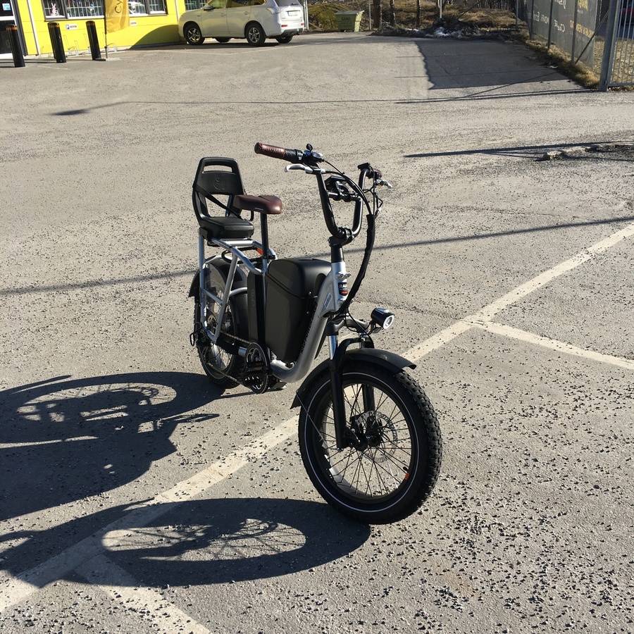 2021 Rad Power Bikes Rad Runner Plus 2.0