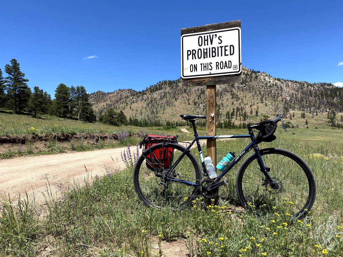 2021 All City Space Horse