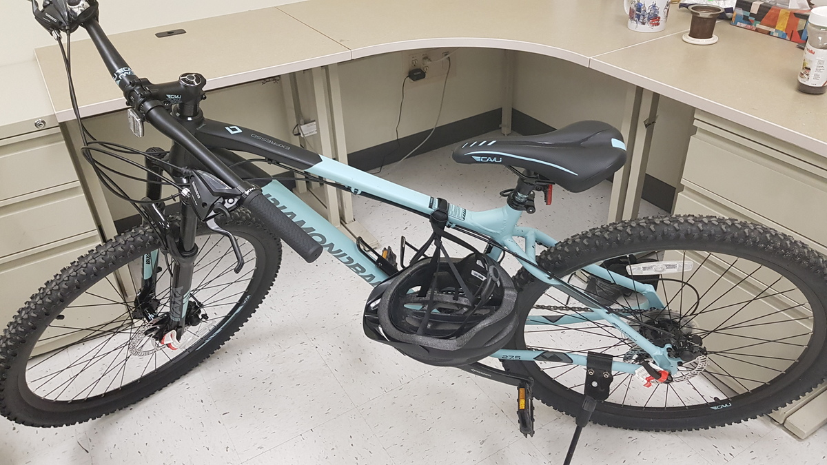 2022 Diamondback Expresso