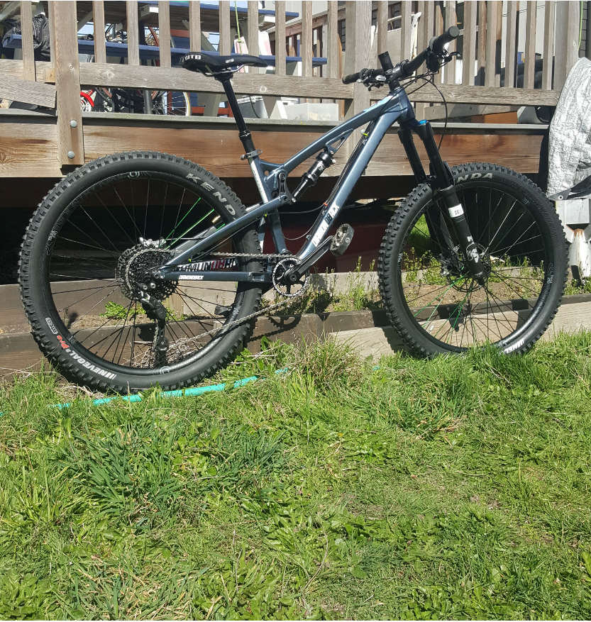 Stolen 2019 Diamondback Release 3 custom
