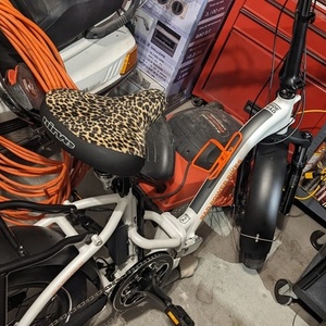 2022 Rad Power Bikes Rad Mini 2 Step Thru