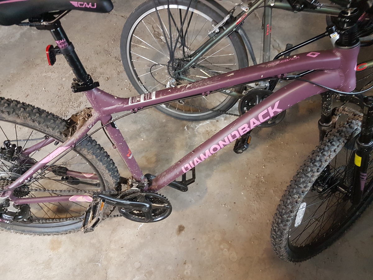 2022 Diamondback Ridgeback