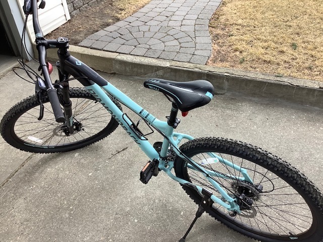 2022 Diamondback Expresso