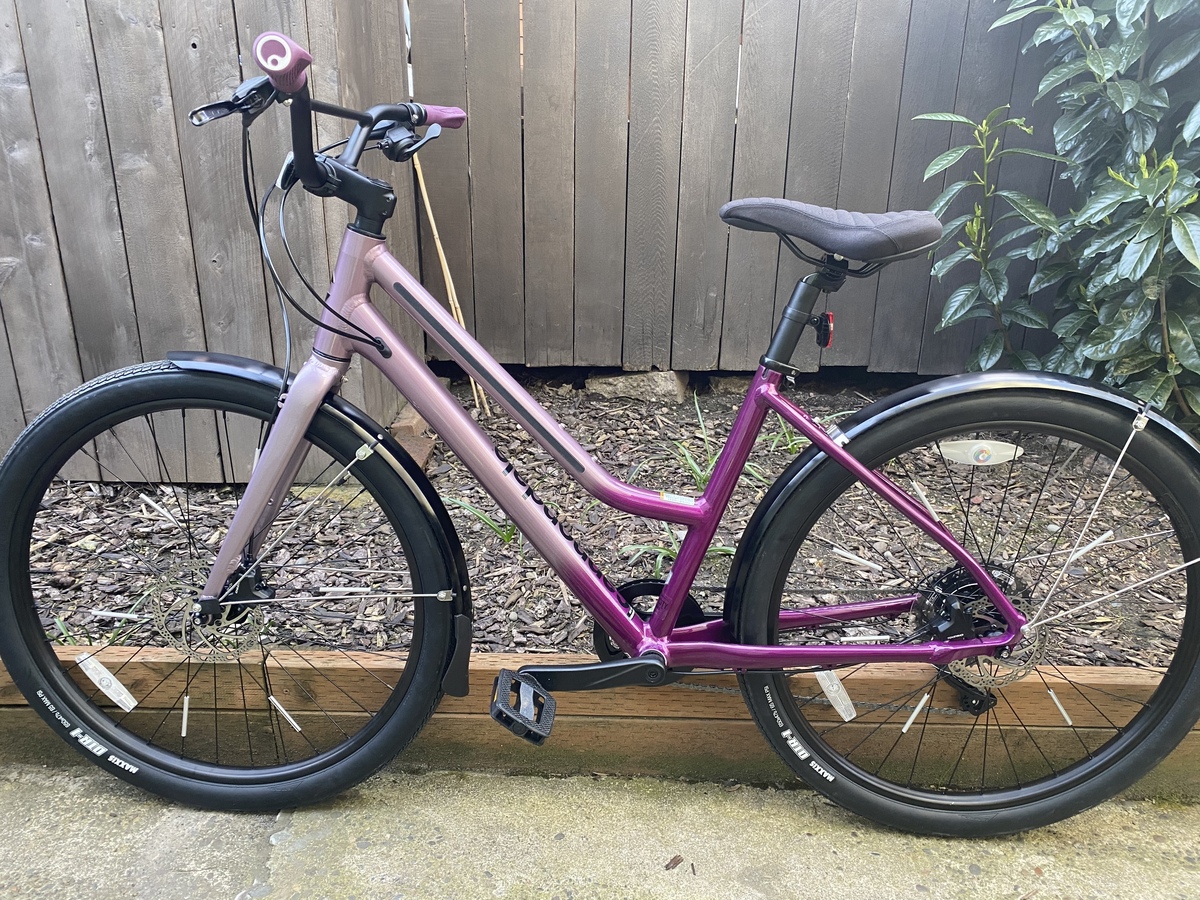2021 Cannondale Treadwell 2 LTD remixte
