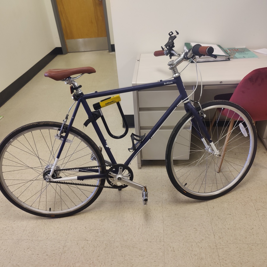 2022 Brilliant Bicycle L Train