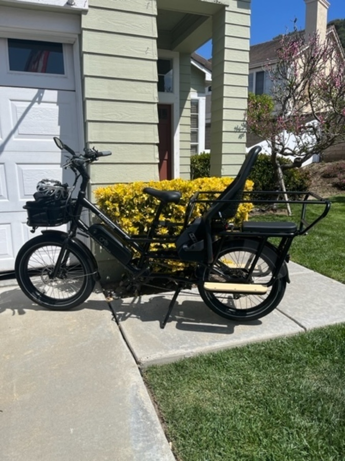 2022 Rad Power Bikes Wagon