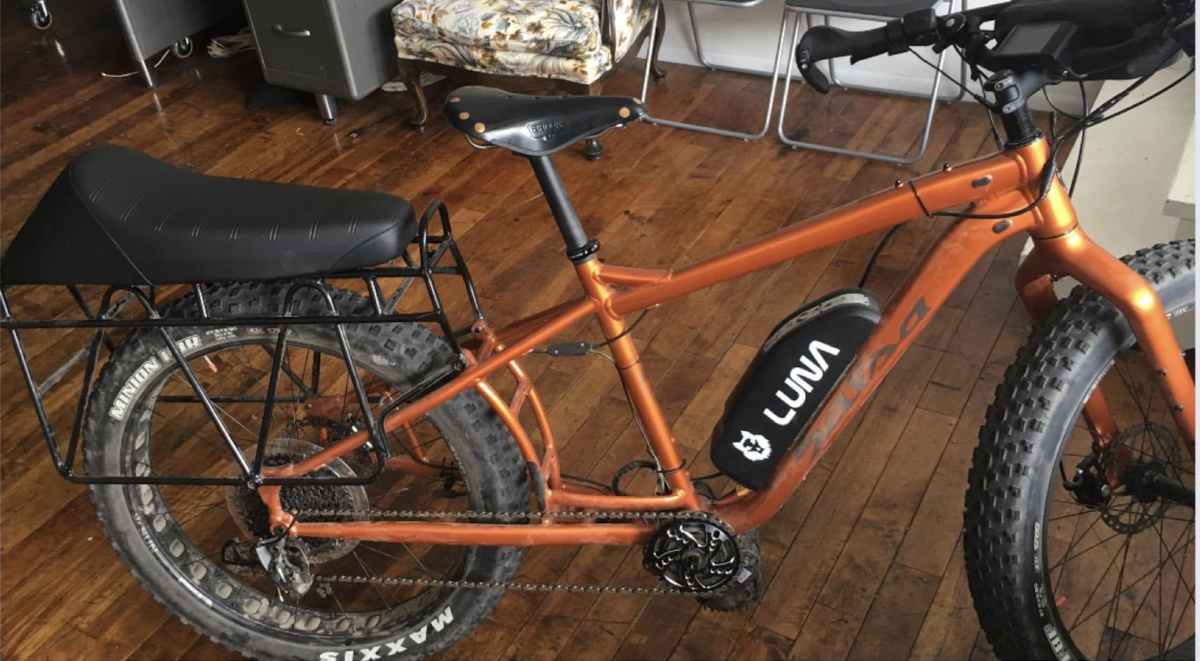 Stolen 2019 Salsa Blackborow Fat Cargo bike cargo bike rear