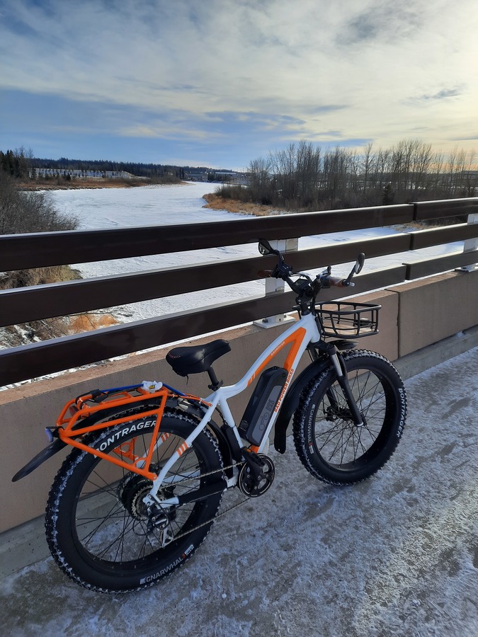 2019 Rad Power Bikes Rad Rover 5 Electric Fat Bike