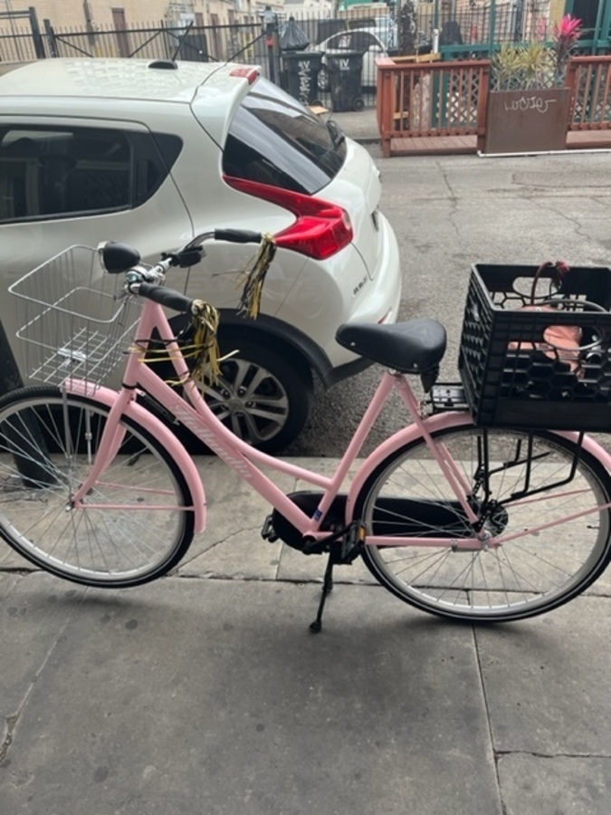 Hollandia Dutch bike