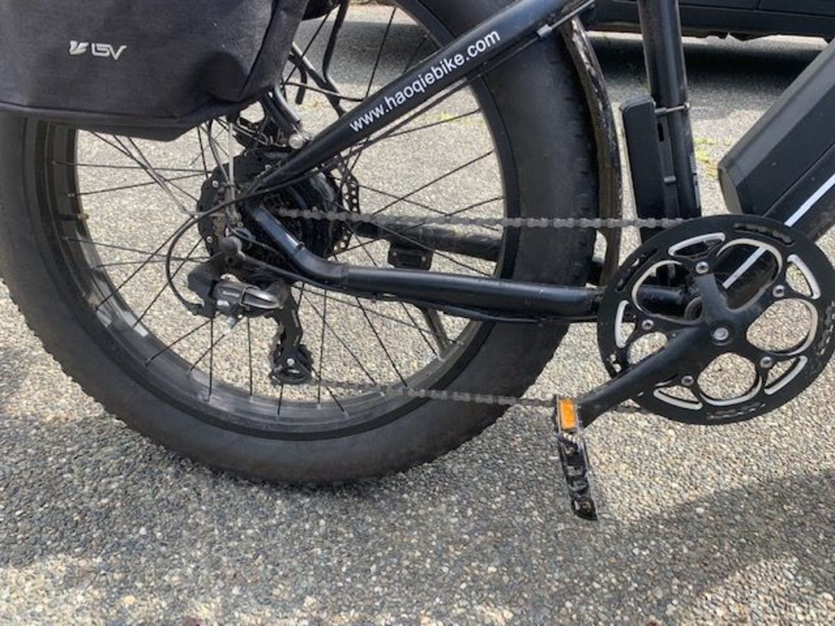 2021 Haoqi Snow Leopard