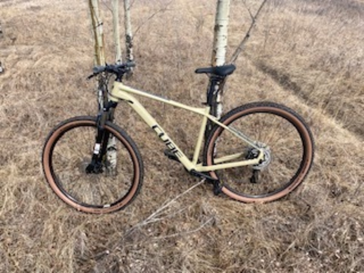 2022 Cube AIM EX 29 20"