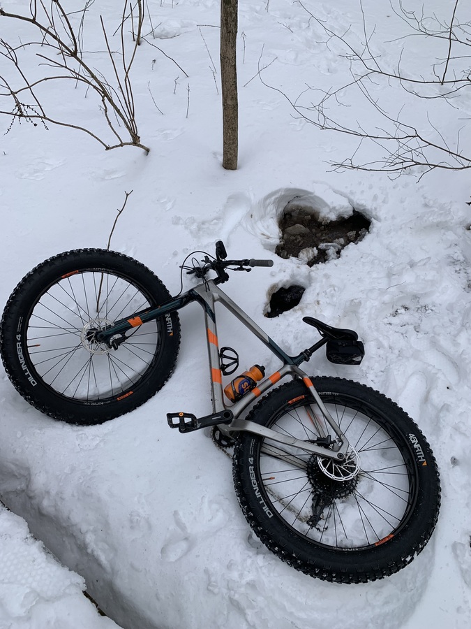 2020 Salsa Beargrease Carbon