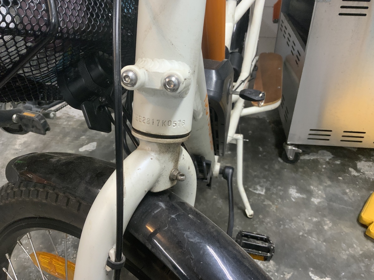 Rad Power Bikes Rad Wagon