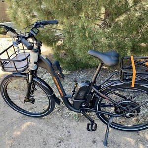 2020 Rad Power Bikes RadCity 3 Step Thru