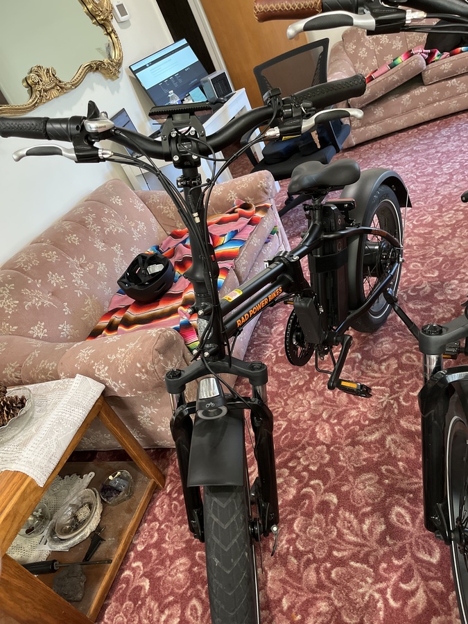 2020 Rad Power Bikes Rad Mini 4