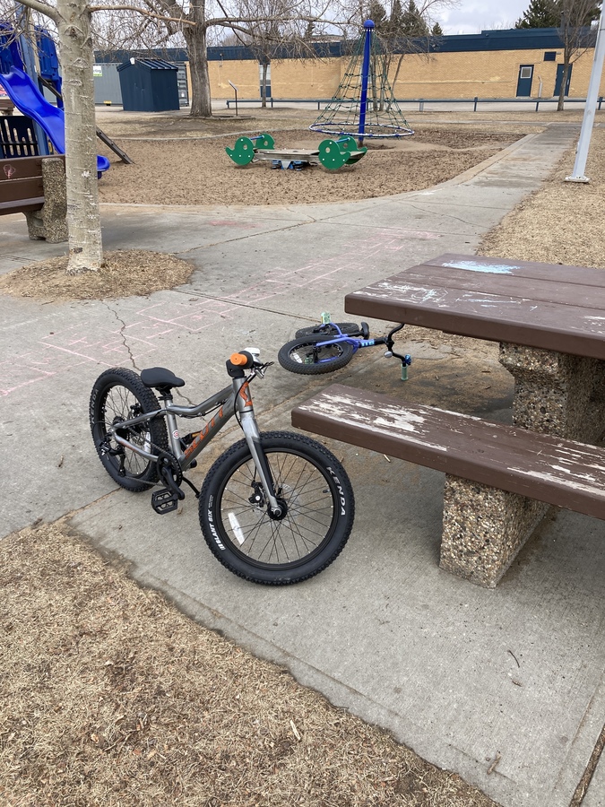 2022 SCOTT Roxter 20 OneSize Raw Alloy