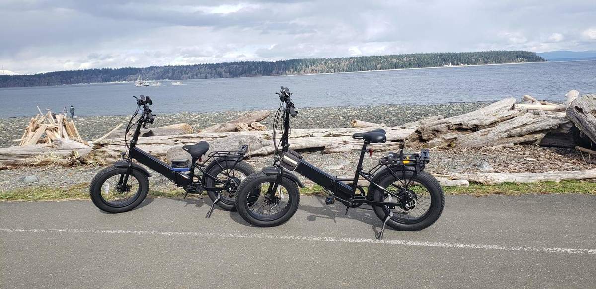 2021 Everyday Bicycles Express (folding)