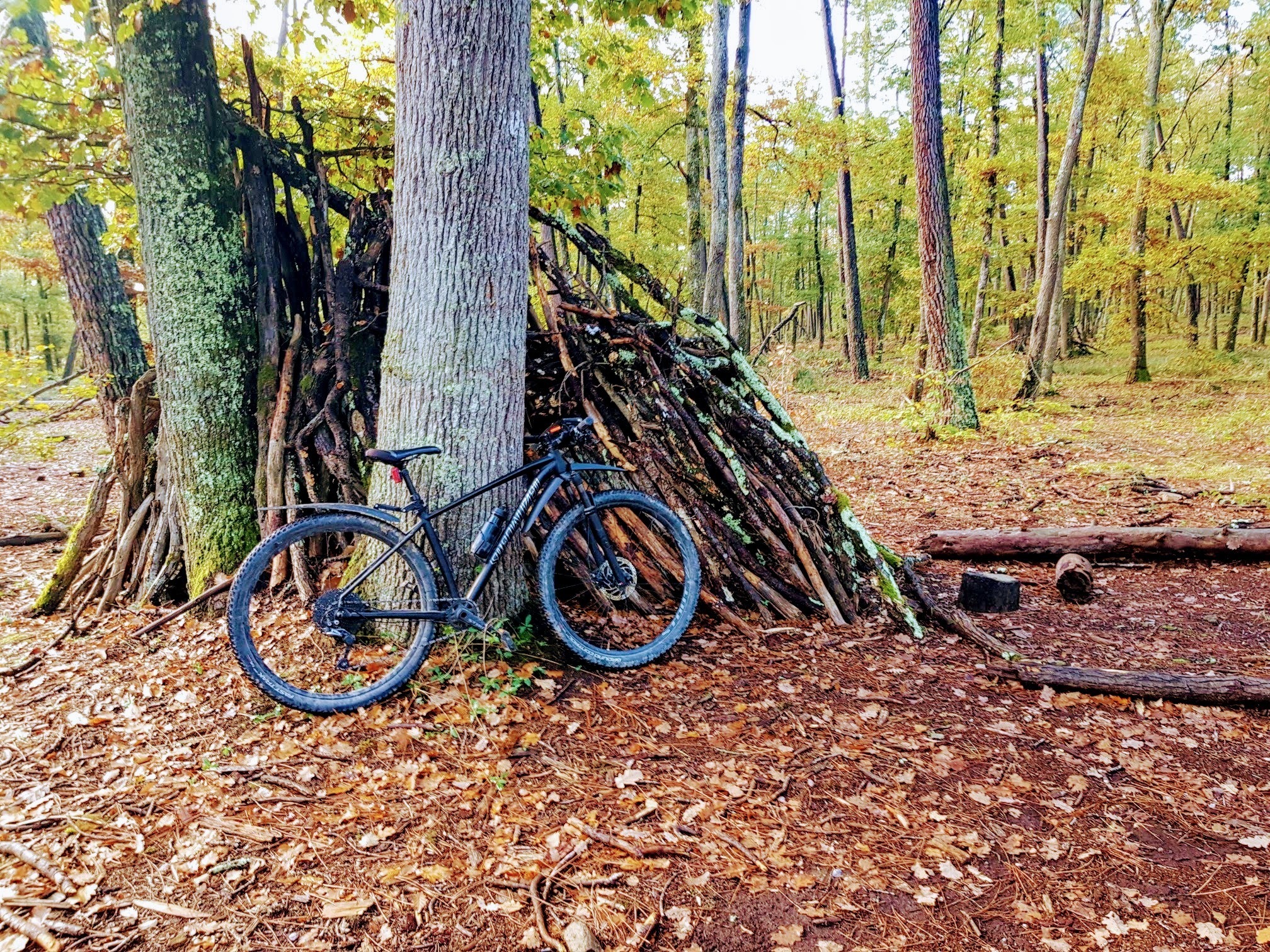 2019 Specialized Men's Rockhopper Pro 1X