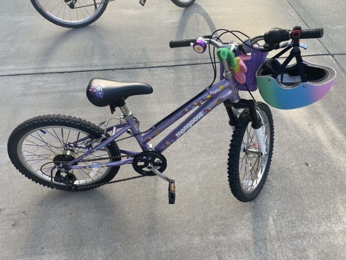 2017 Mongoose Stylist