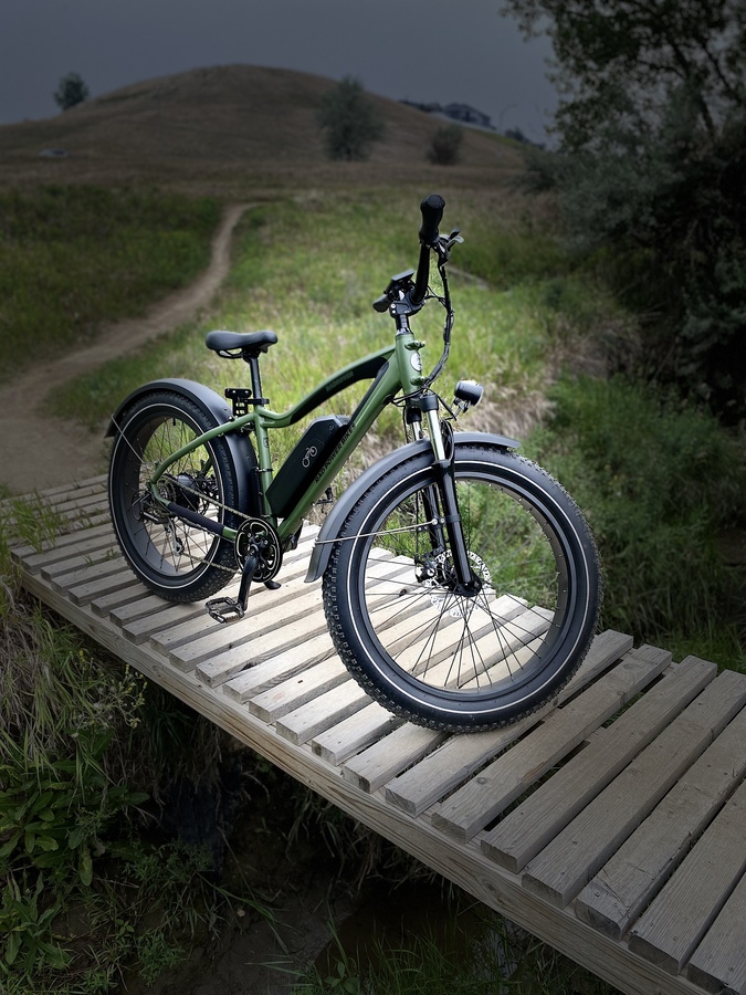 2021 Rad Power Bikes Rad rover 5