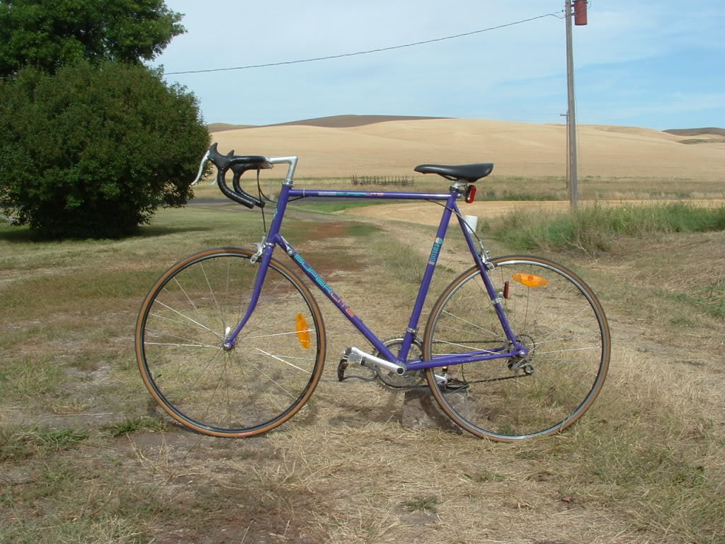 Stolen 1996 Repco Tech Road Bike