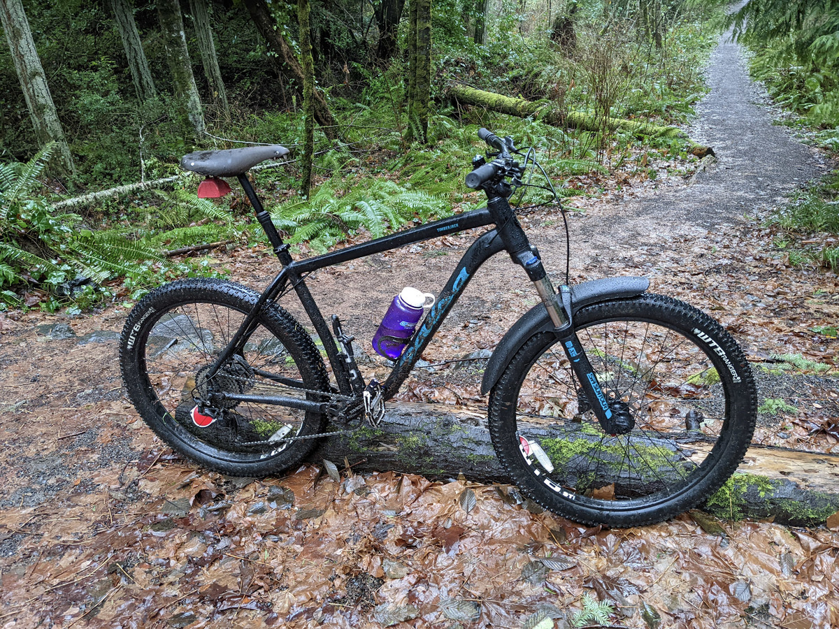 2019 Salsa Timberjack