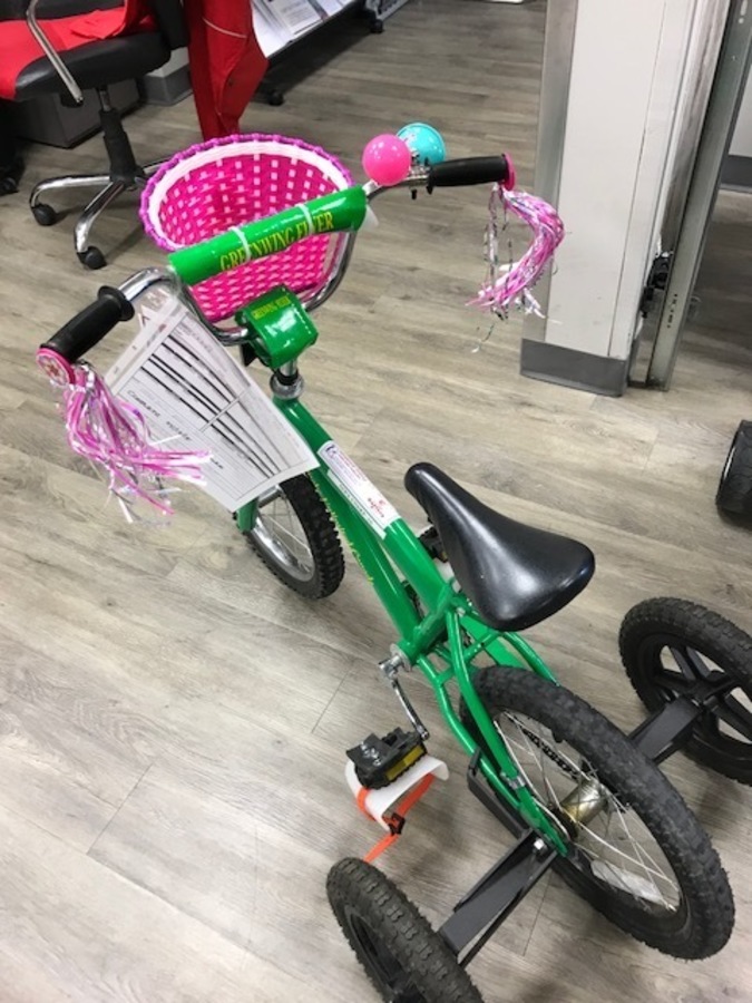 2017 Edison Ducks Unlimited