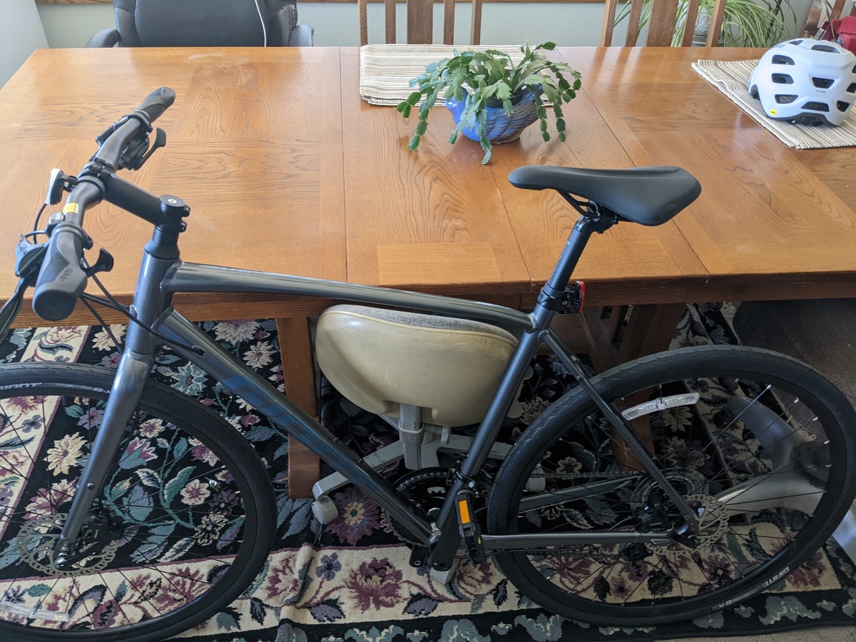 2021 Giant Escape Disc 2